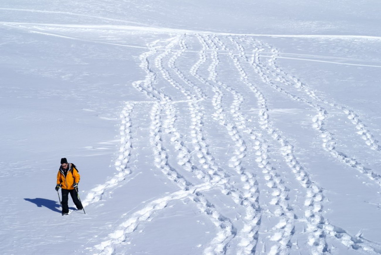 Snowshoeing in Stelvio National Park - Italy
